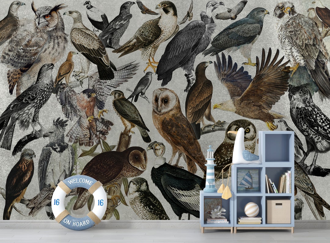 Predator Birds Graffiti Wallpaper Peel and Stick Predator Birds ...