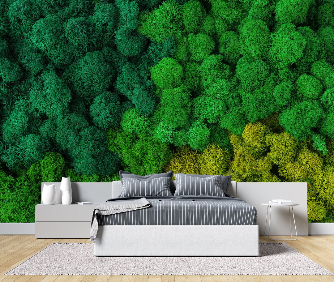 Green Moss Wallpaper Stabilized Moss Ecofriendly Office Wall Mural ...