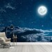 Wall Mural Night Sky With Stars and Clouds Wallpaper Peel and Stick ...