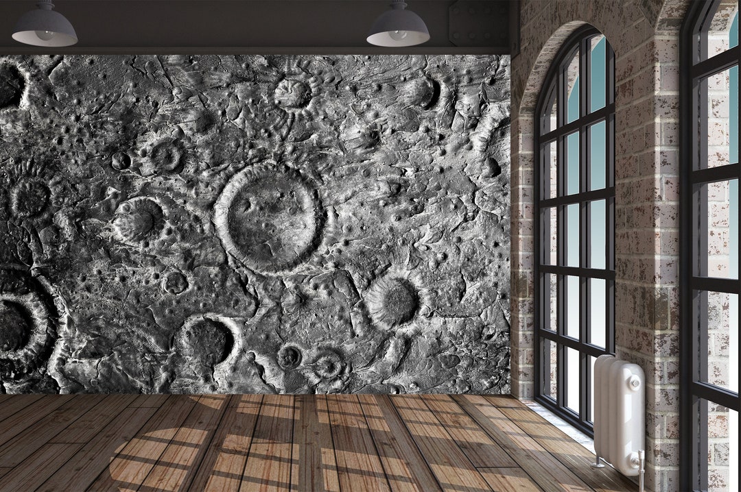 Lunar Craters Wallpaper Print Wall Mural Textured Peel and Stick ...