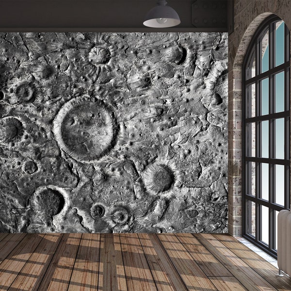 Lunar Surface Wall Art - Etsy
