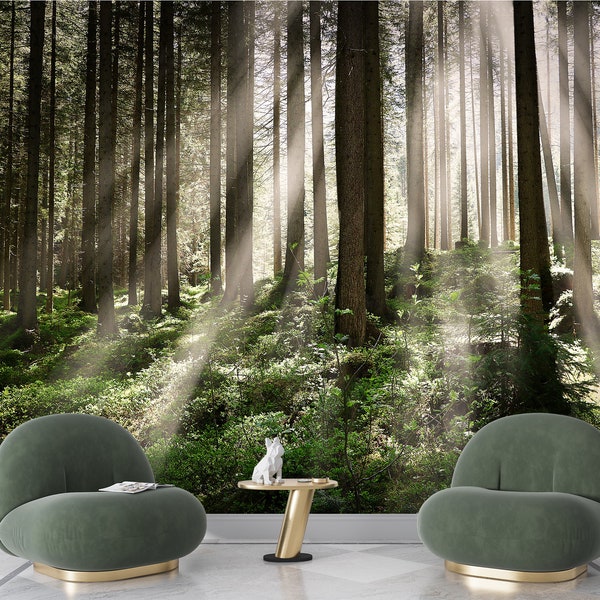 Forest Wall Mural - Etsy