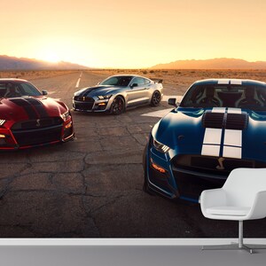Ford Mustang Mural Sport Car Wallpaper Peel and Stick Sport Car Mural ...