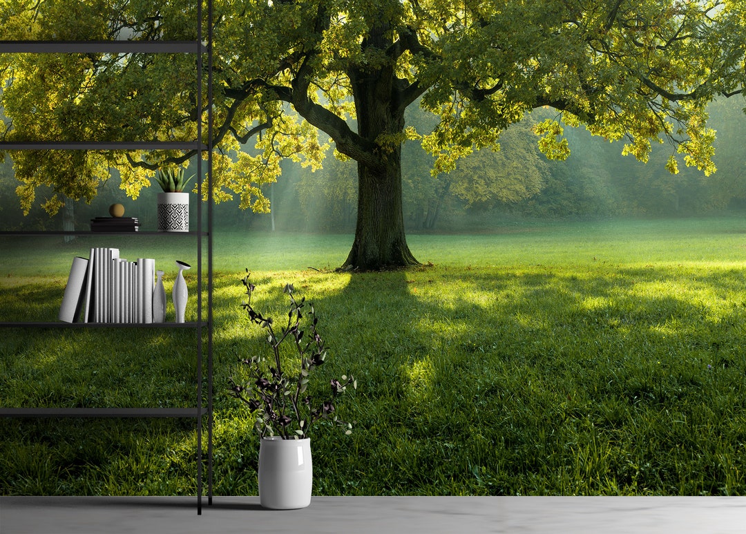 Big Tree Wallpaper Nature Landscape Mural Peel and Stick Wallpaper ...