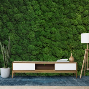 Green Moss Wallpaper Background Peel and Stick Floral Art Print ...
