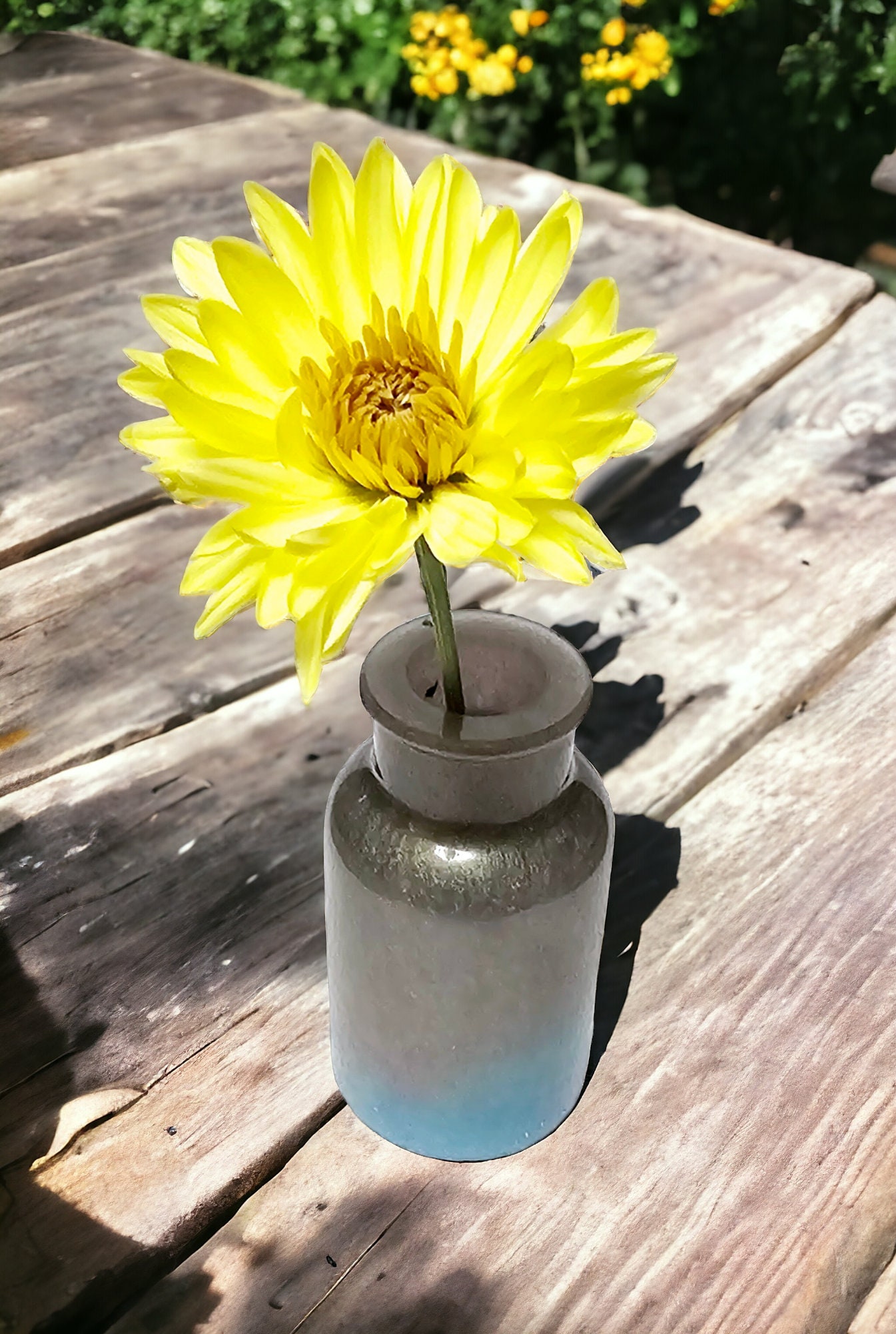 Bottle Vase - Etsy