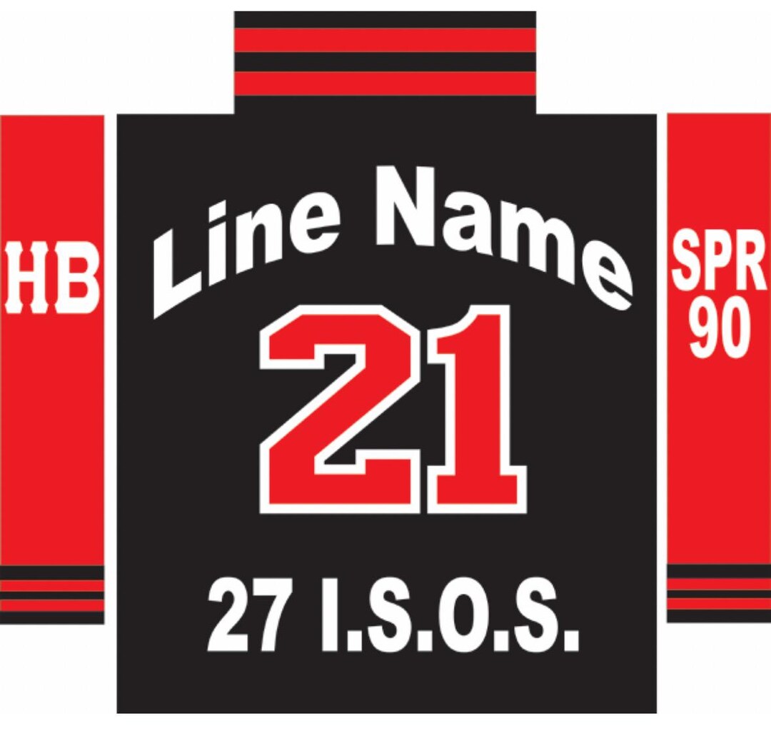 Delta Sigma Theta Custom Varsity Jacket HB / SPR 90 - Etsy