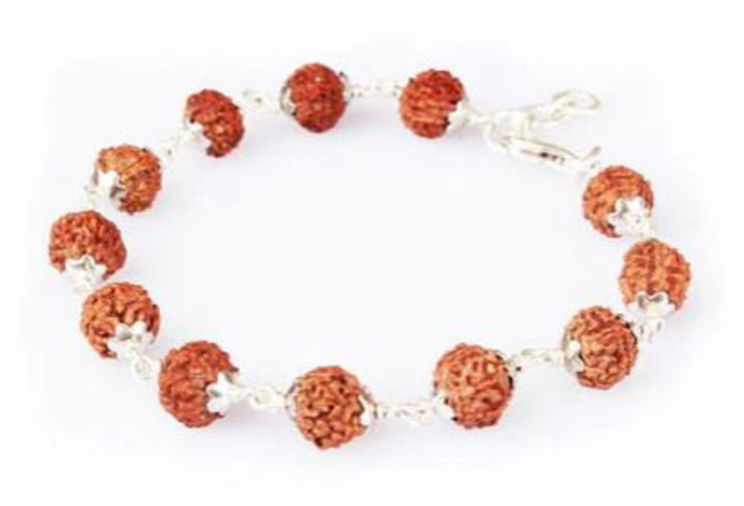 6 Mukhi Java Rudraksha Bracelet in Silver - Etsy
