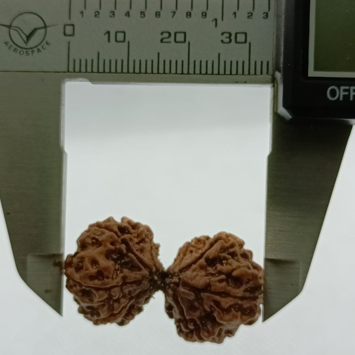 Nepali Gauri Shankar Rudraksha From Nepali Shiv Parvati 34 - Etsy