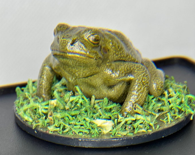 Painted Giant Toad DND Wild Shape Mini - Etsy