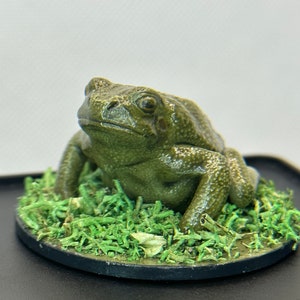 Painted Giant Toad DND Wild Shape Mini - Etsy
