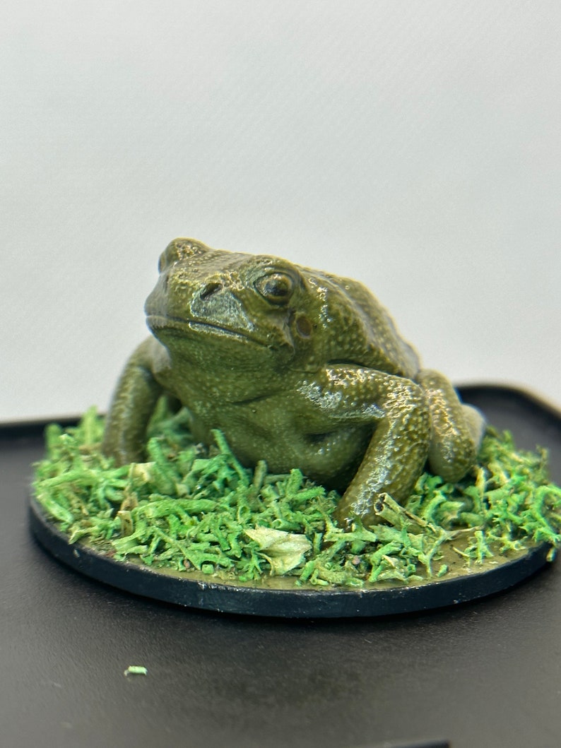 Painted Giant Toad DND Wild Shape Mini - Etsy