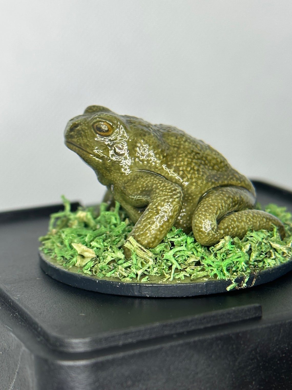 Painted Giant Toad DND Wild Shape Mini - Etsy