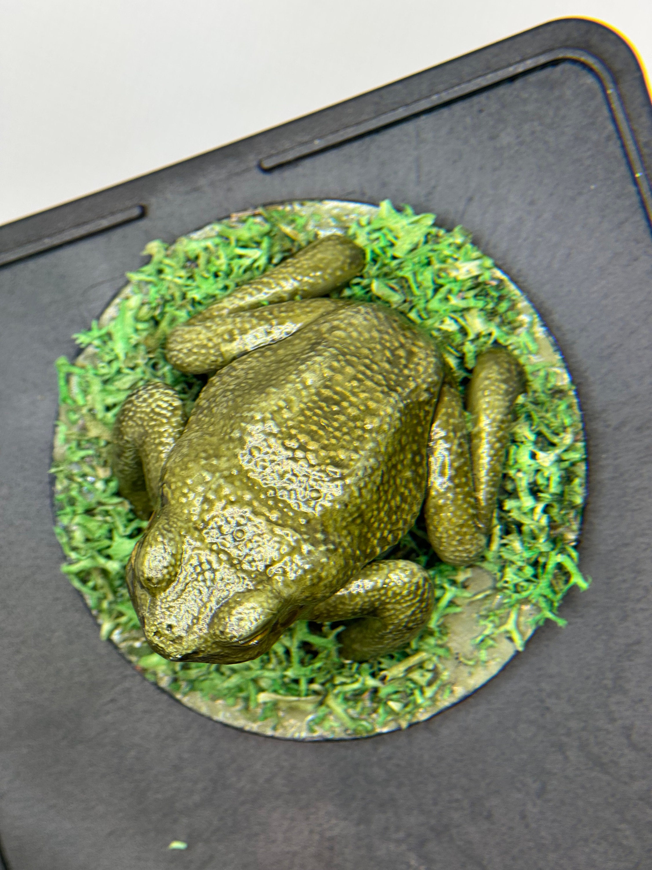 Painted Giant Toad DND Wild Shape Mini - Etsy