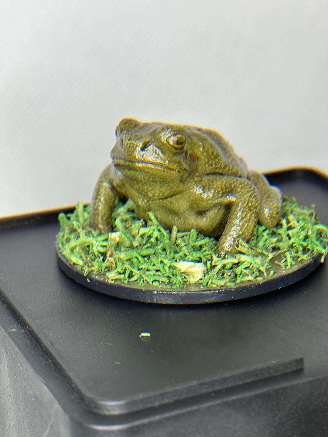 Painted Giant Toad DND Wild Shape Mini - Etsy
