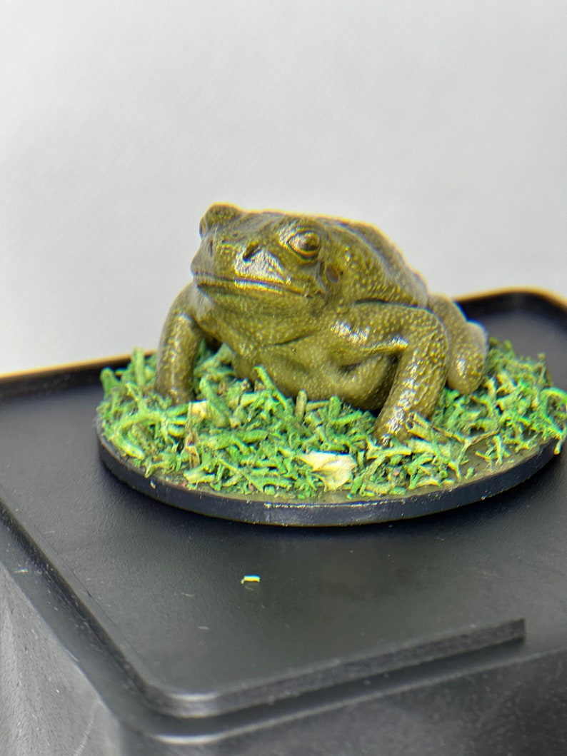 Painted Giant Toad DND Wild Shape Mini - Etsy