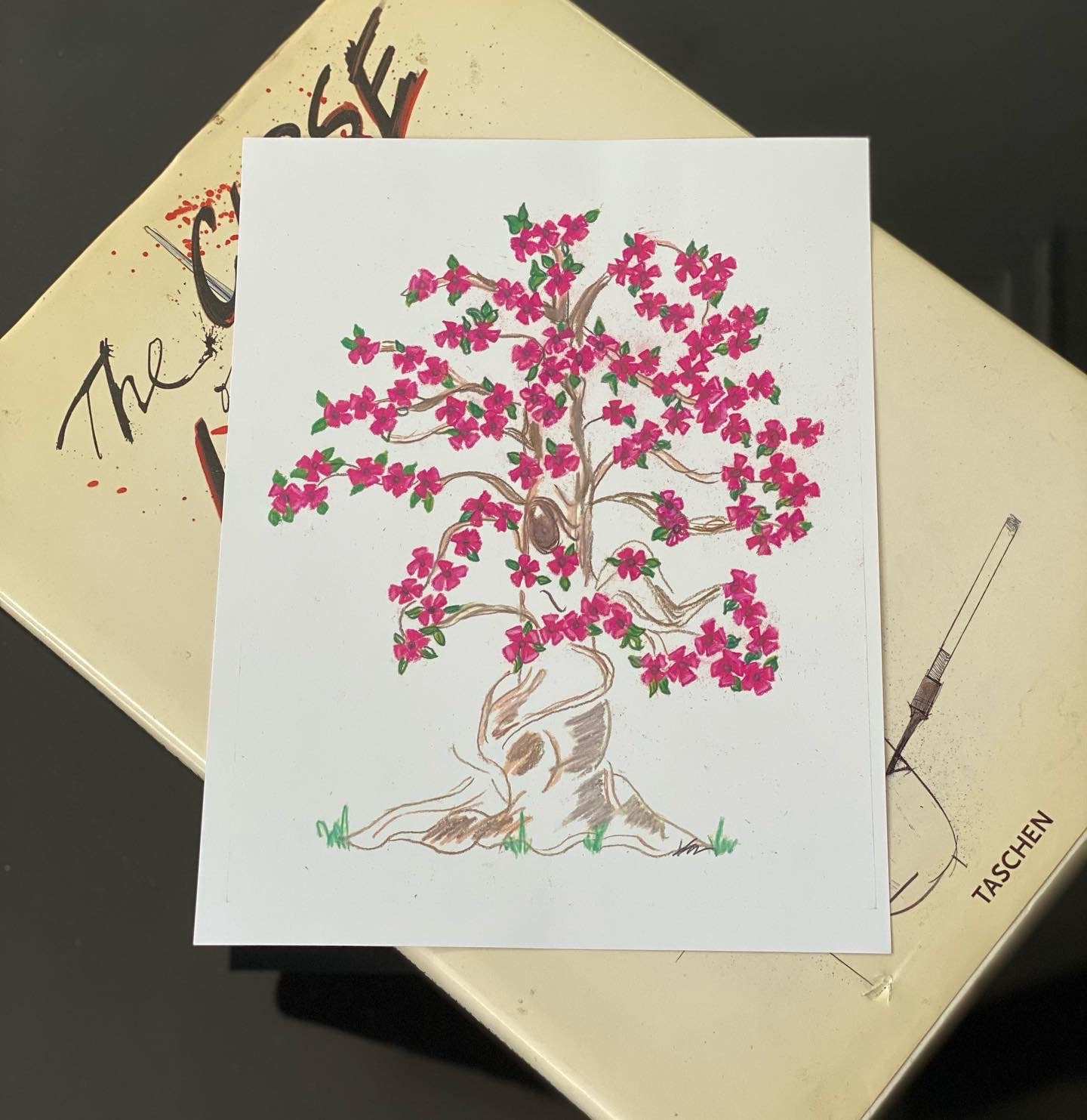 Pink Magnolia Tree Drawing