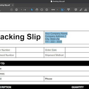 Professional Packing Slip Template – PDF, Google Docs, Microsoft Word ...
