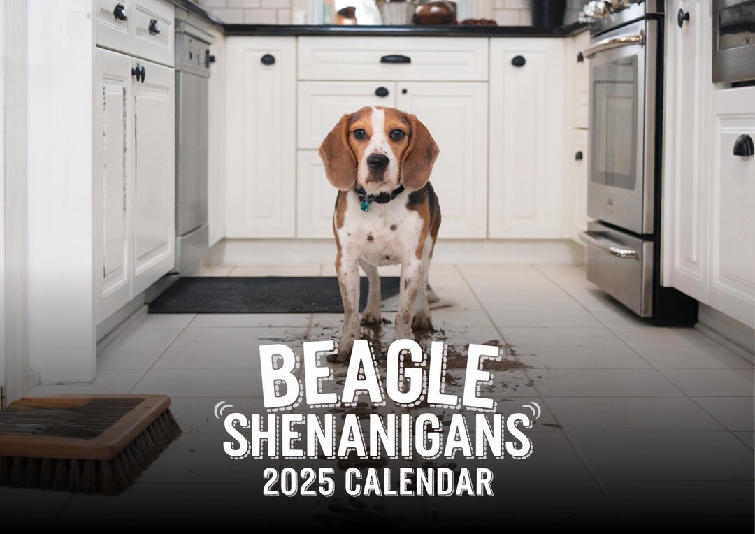 Beagle Shenanigans 2025 Calendar - 12-month Hanging Wall & Desktop ...