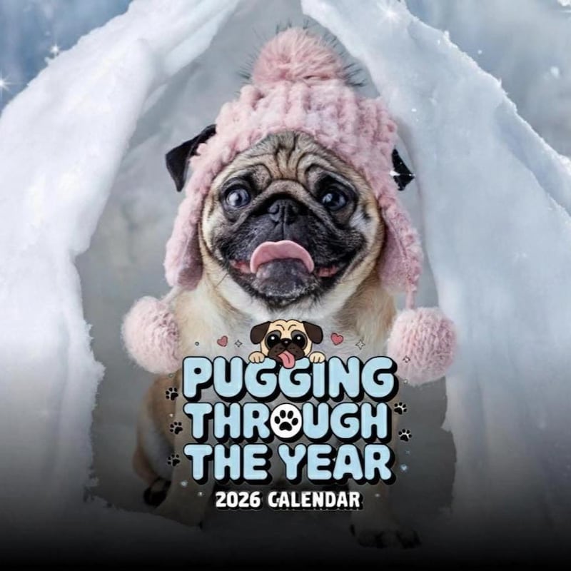 Pug Calendars 2026 - Etsy