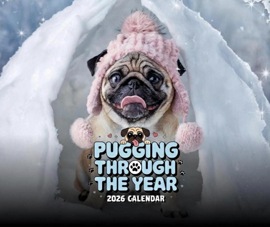 Pugging Through the Year 2026 Calendar - 12-month Hanging Wall ...