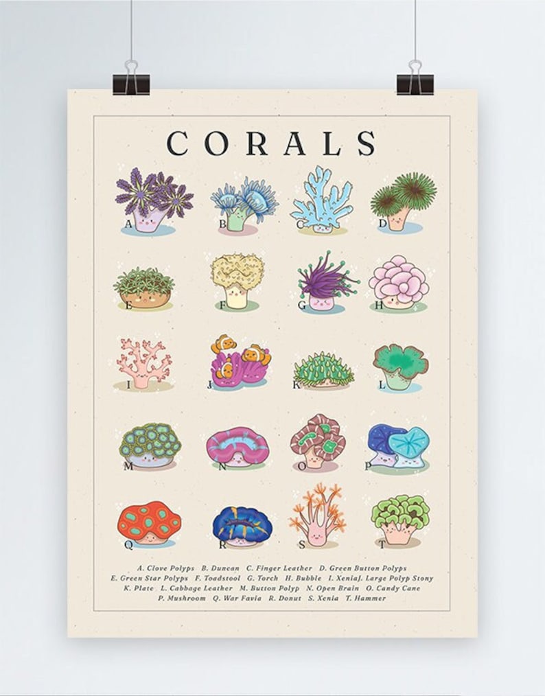 Saltwater Coral Species Poster Types of Corals Species Print - Etsy