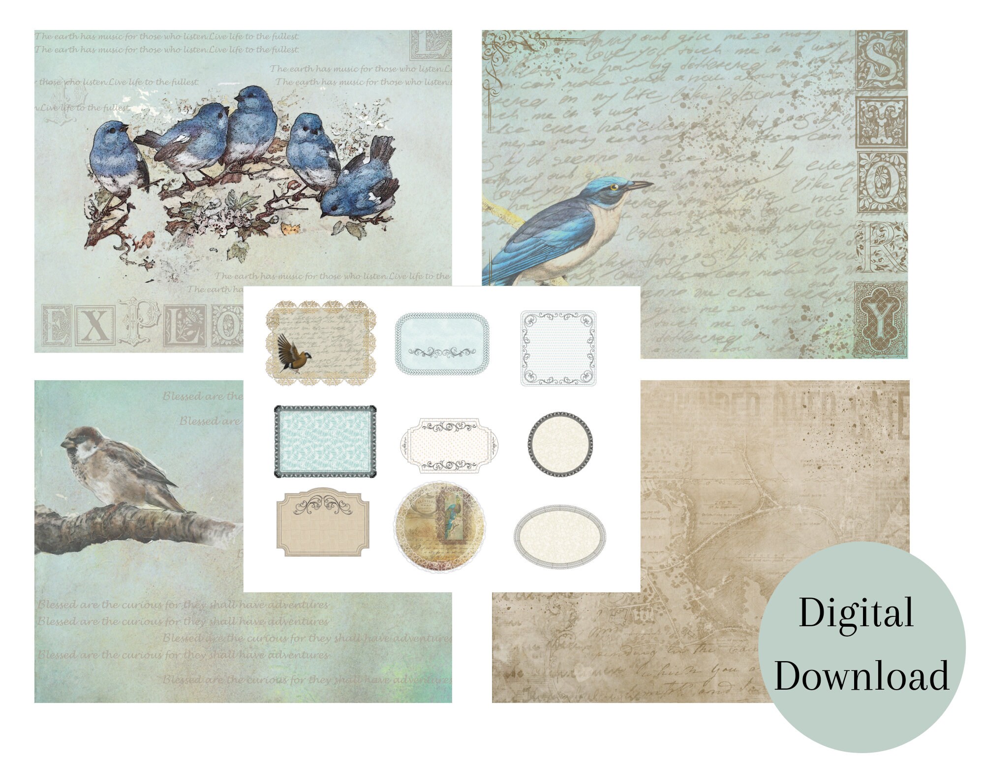 Bird Digital Paper Pack 4 Sheets of Designed Paper With - Etsy