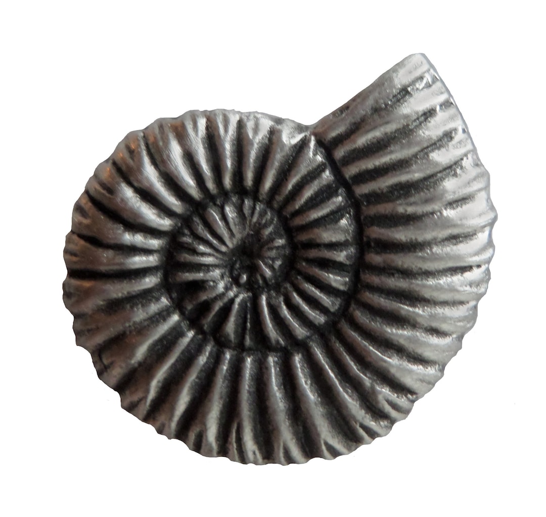 Ammonite Fossil Pewter Pin Badge - Hand Made in the United Kingdom - Etsy