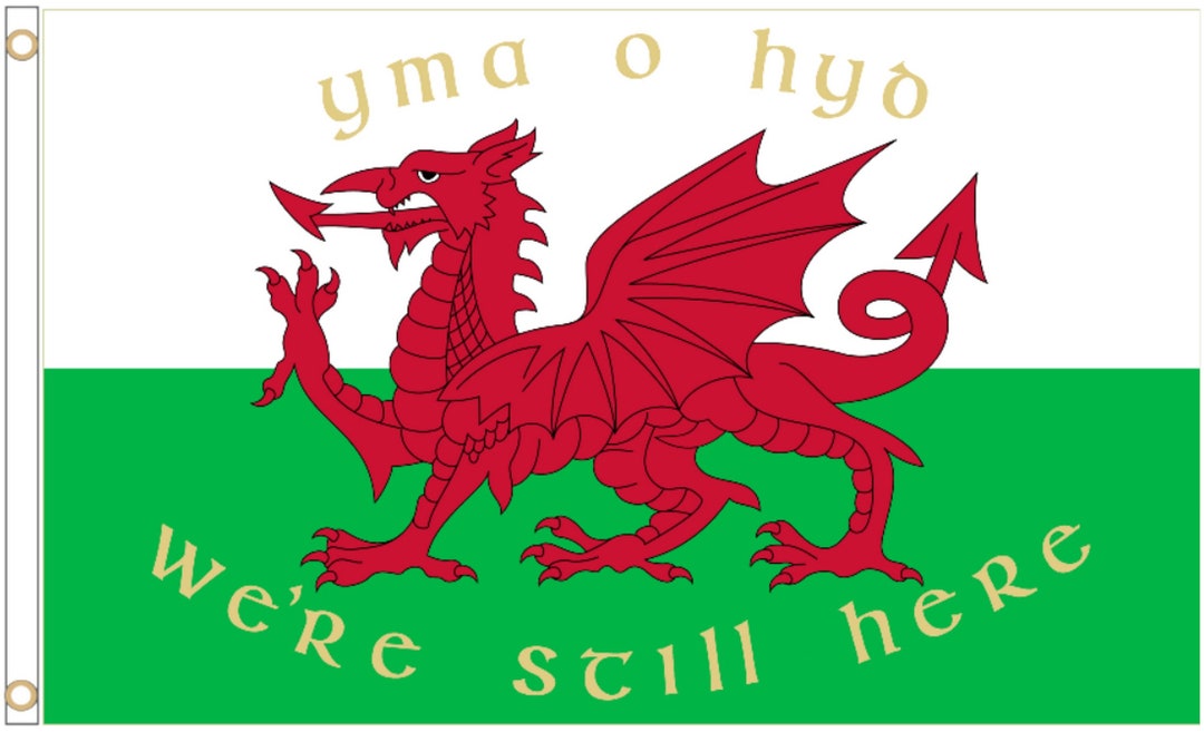 Wales Yma O Hyd Football Supporters 5'x3' Flag - Etsy