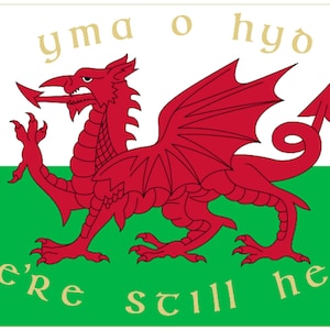 Wales Yma O Hyd Football Supporters 5'x3' Flag - Etsy