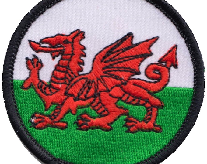 Set of 2 X Welsh Dragon Iron on Screen Print for Fabric Machine ...