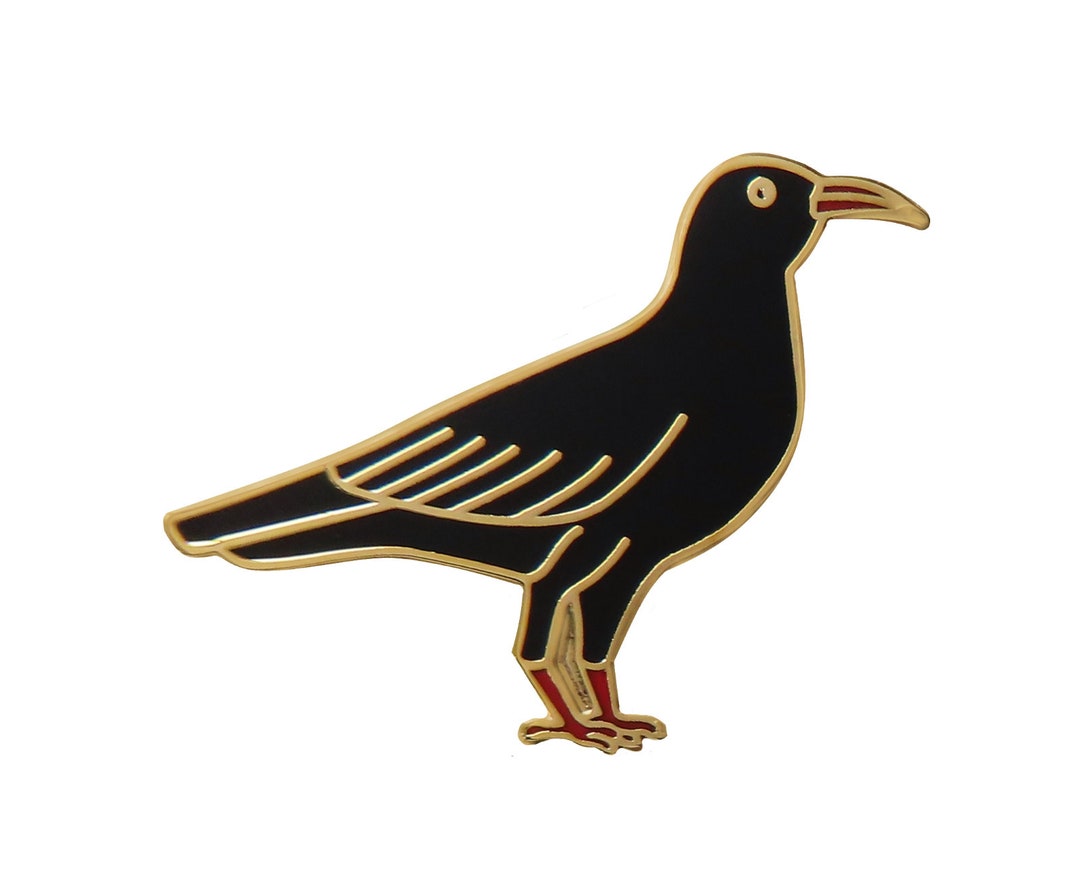 Cornish Chough Bird Pin Badge - Etsy