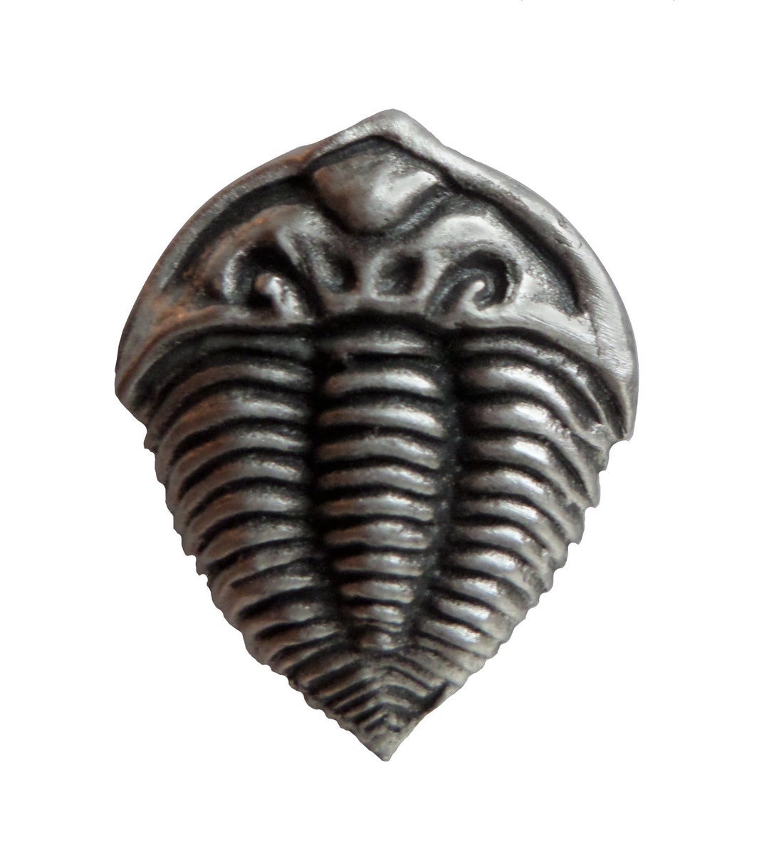 Trilobite Fossil Pewter Pin Badge - Hand Made in the United Kingdom - Etsy
