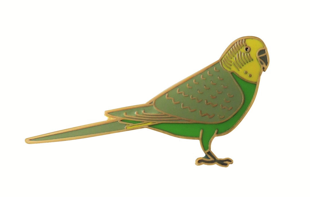 Budgerigar Budgie Parakeet Green & Yellow Bird Pin Badge - Etsy
