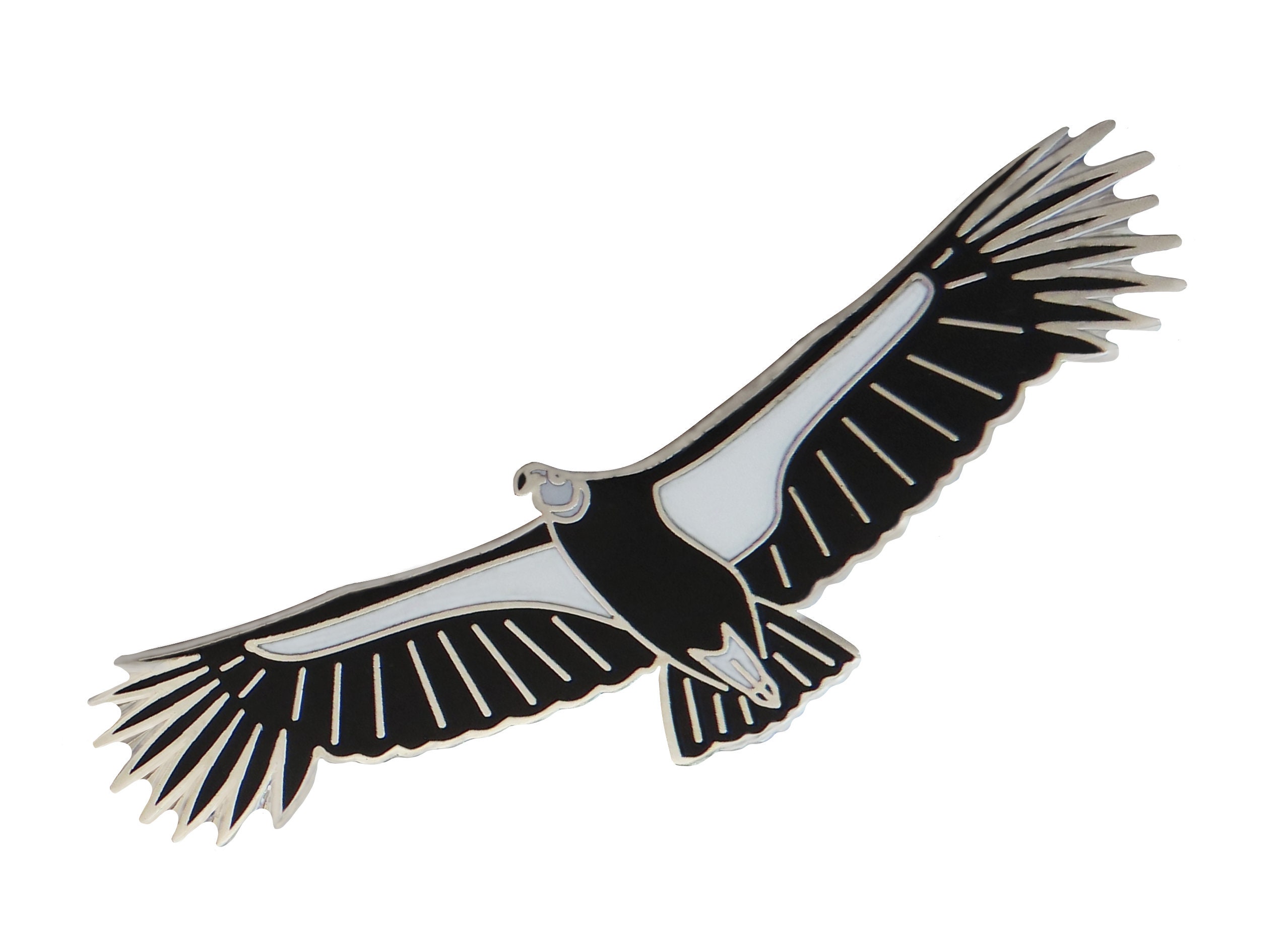 Andean Condor Drawing