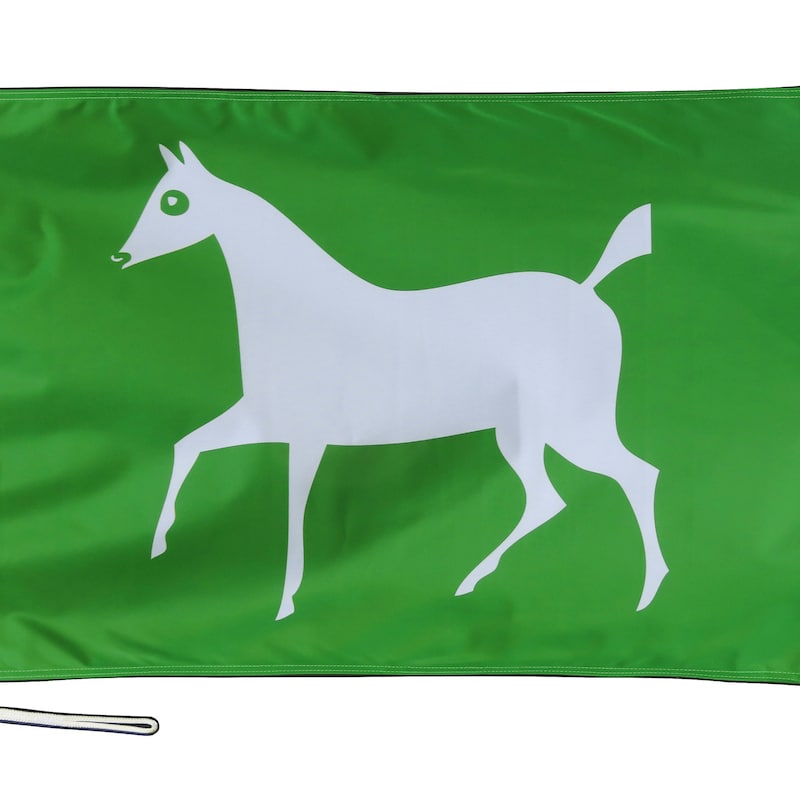 Wiltshire Flag - Etsy UK