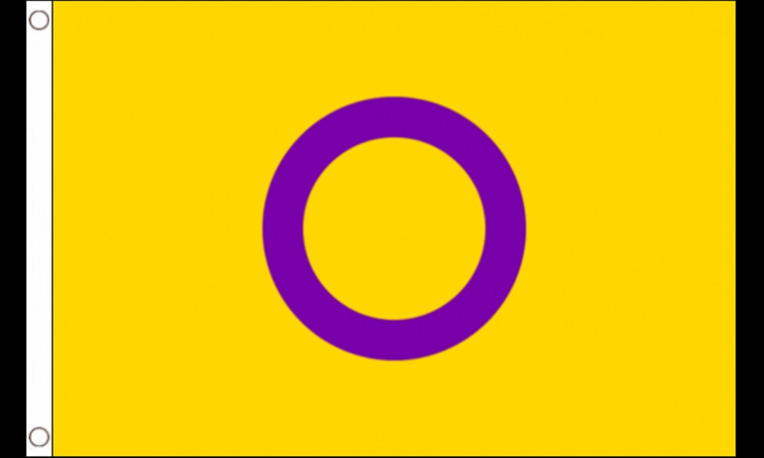 LGBTQ Pride Flag Intersex 5'x3' - Etsy