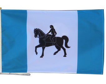 Coventry Flag - Etsy