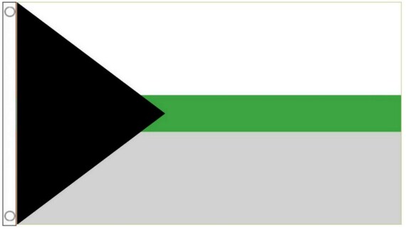 Demiromantic pride flag large 3' X 5' Home & Living Wall Décor etna.com.pe