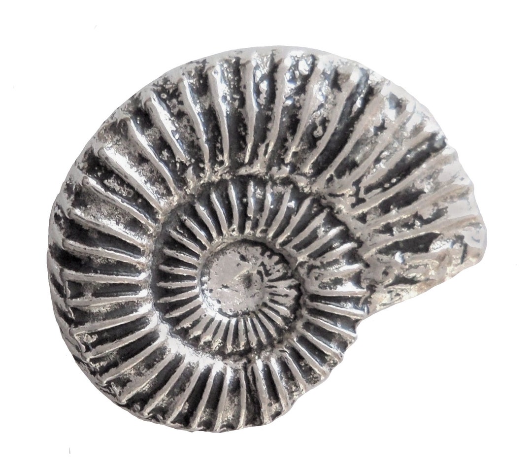 Ammonite Large Pewter Pin Badge - Hand Made in Cornwall - Etsy