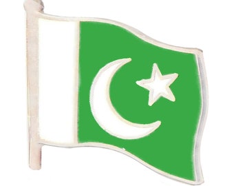 South Asia Flag Pin Badge - Etsy