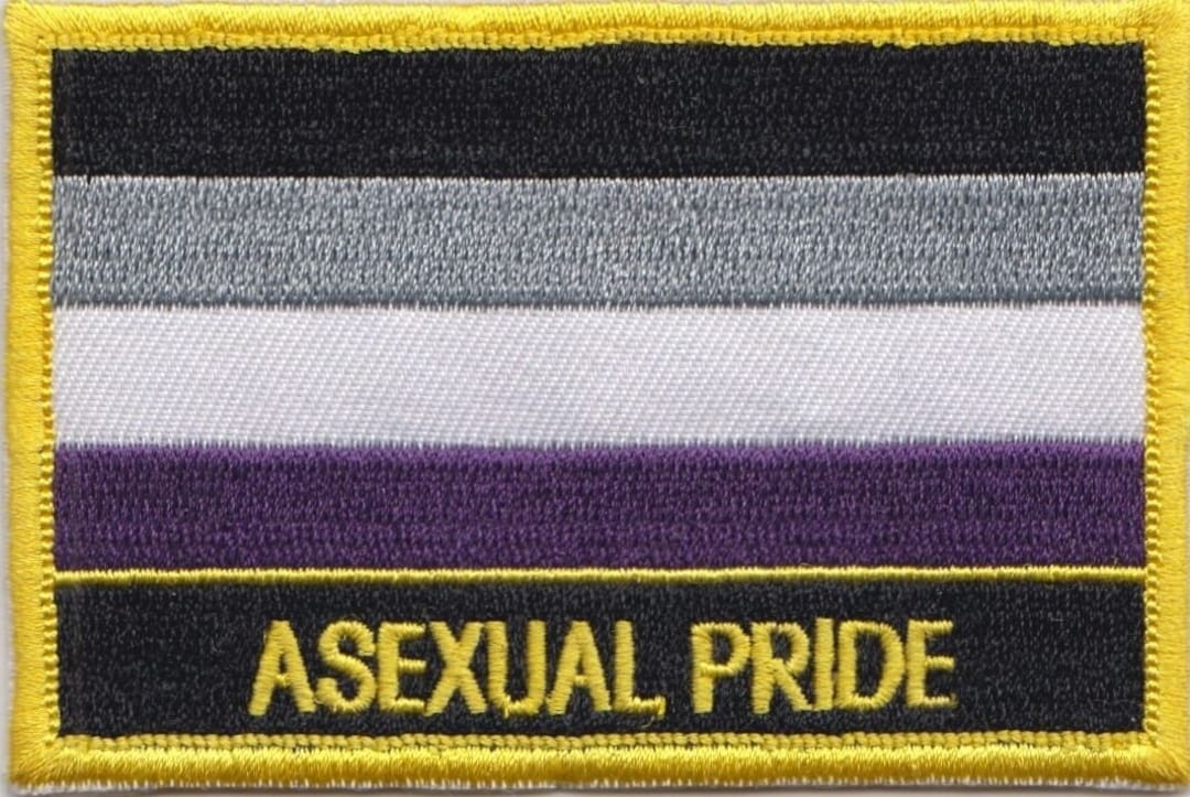Asexual Ace Pride Flag Rectangular Embroidered Patch - Etsy