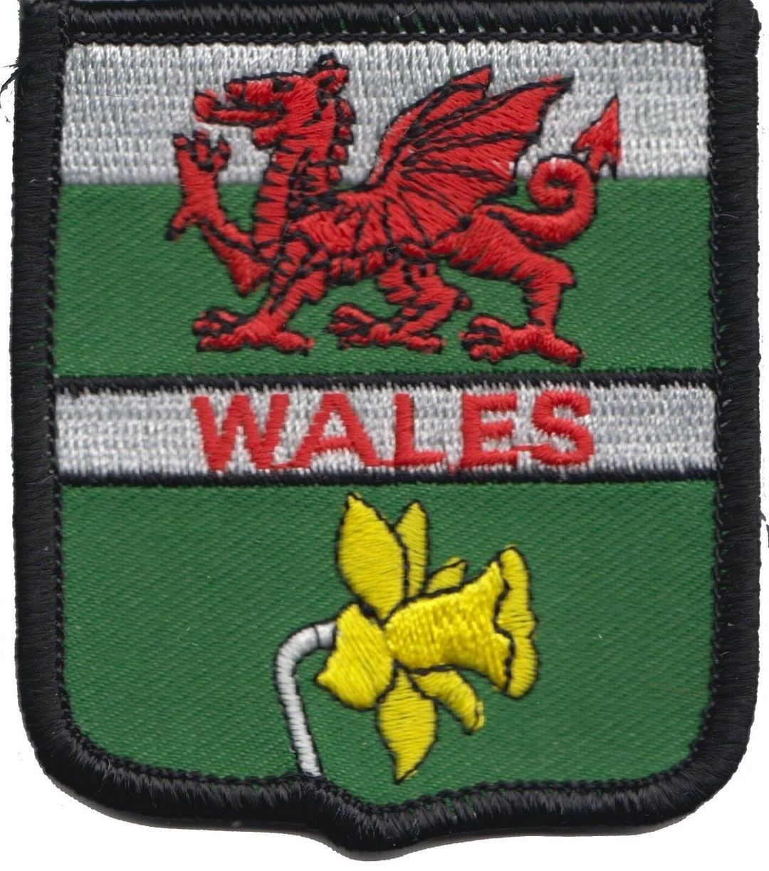 Wales Dragon & Daffodil Embroidered Patch - Etsy