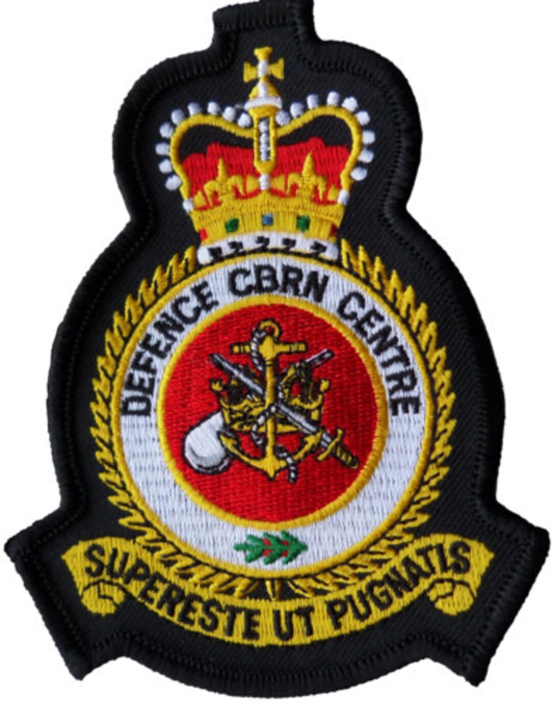 Defence CBRN Centre Royal Air Force Embroidered Patch - Etsy