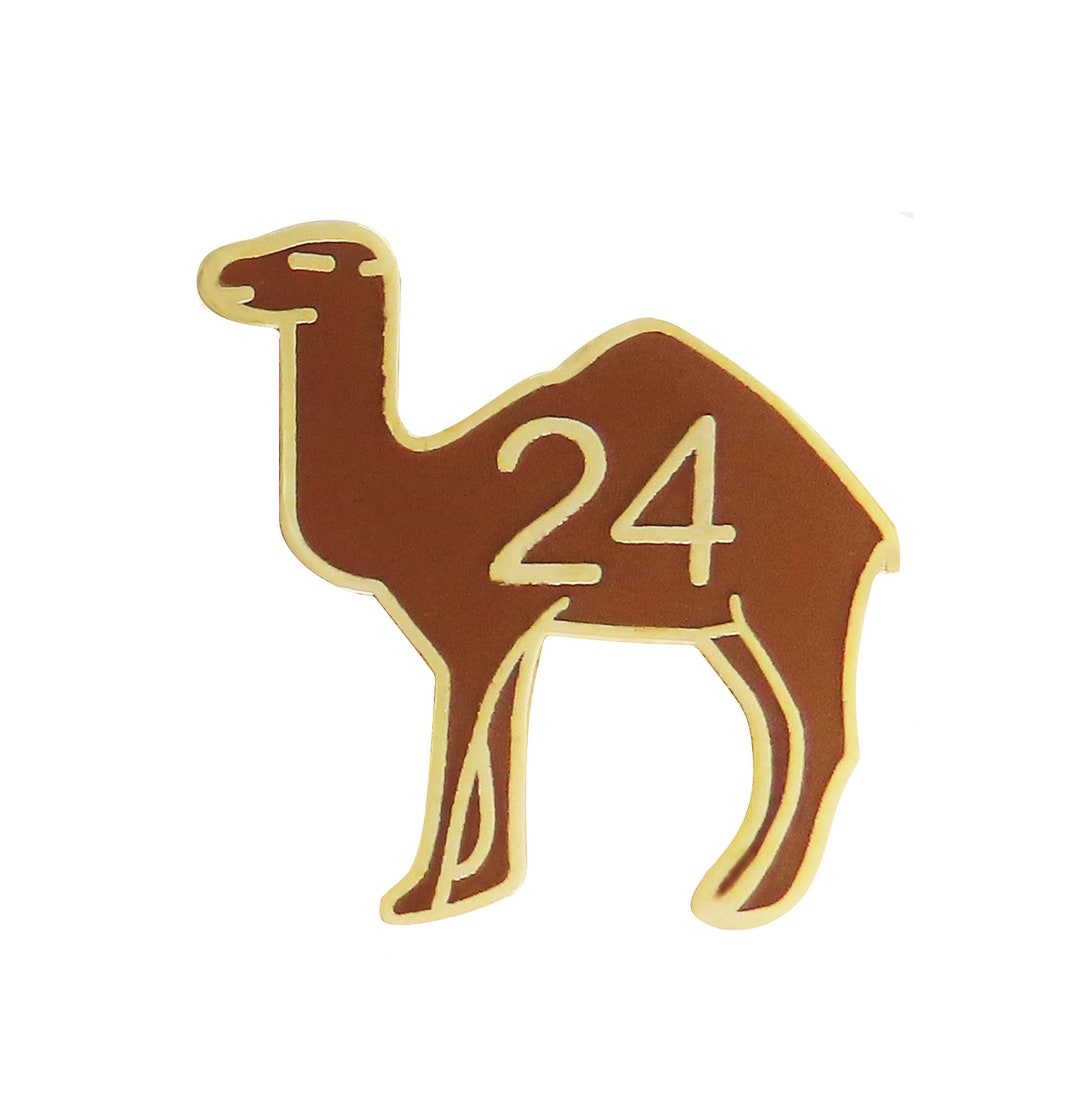 Alcoholics Anonymous AA Camel 24 Hours Without A Drink Enamel Pin Badge ...