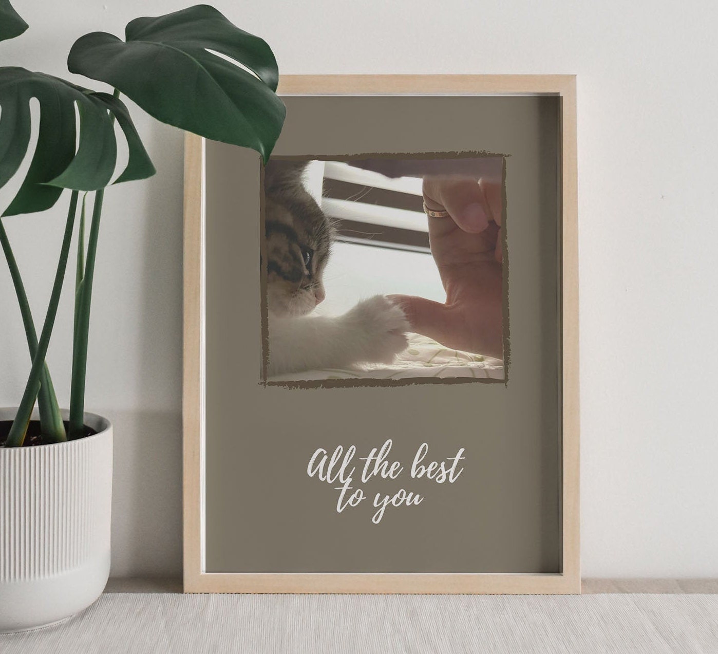Printable Cat Photo Wall Paper/ Digital Unique Home Deco/ Room - Etsy