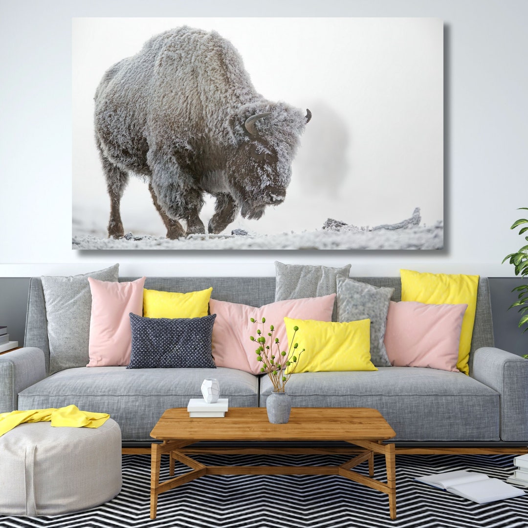 CANVAS WALL DESIGN Buffalo Black Buffalo in Snow Original Pictures Art ...