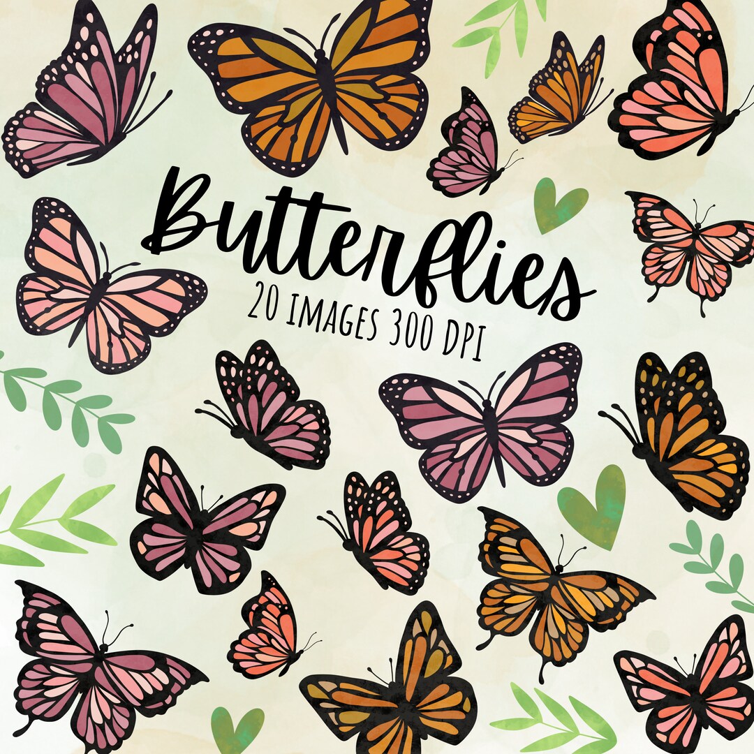 Butterflies Clipart Hand Drawn Butterfly CLIPART Watercolor Clipart ...