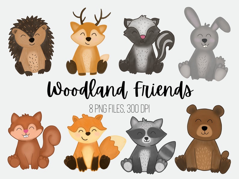 Woodland Friends Clipart, PNG Images, Hand Drawn Animals, Forest Animal ...