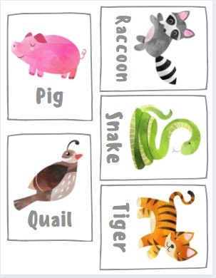 A-Z Animal Flashcards, Printable Pdf, Montessori Preschool Learning ...